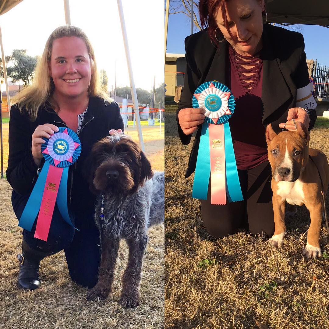 Dog Shows – UAPBTO